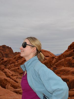 One Librarian Survives the Apocalypse - Lunch Ticket