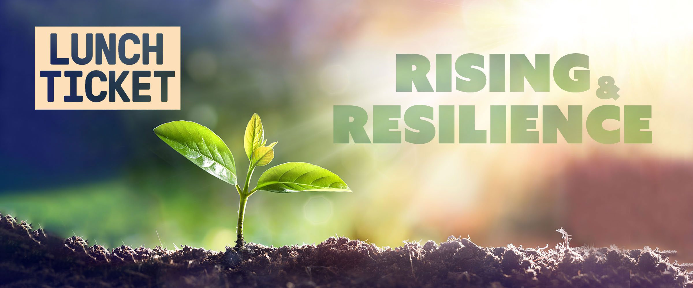 Home - Winter/Spring 2021 - Lunch Ticket